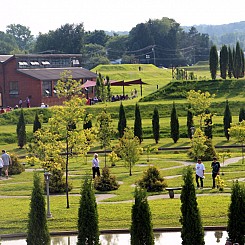 The Tree of Life Labyrinth